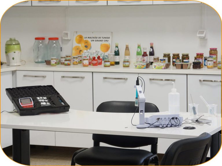 Conditionnement des fruits et légumes | Sodea Fruits Tunisie