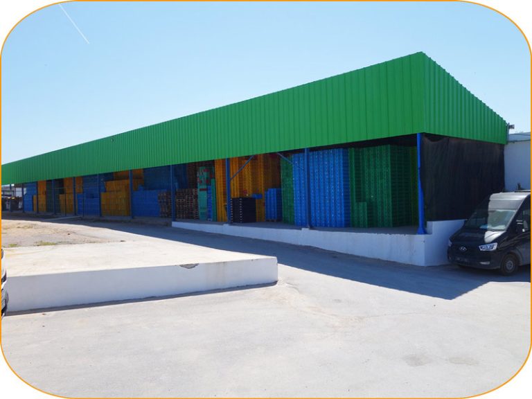 Conditionnement des fruits et légumes | Sodea Fruits Tunisie