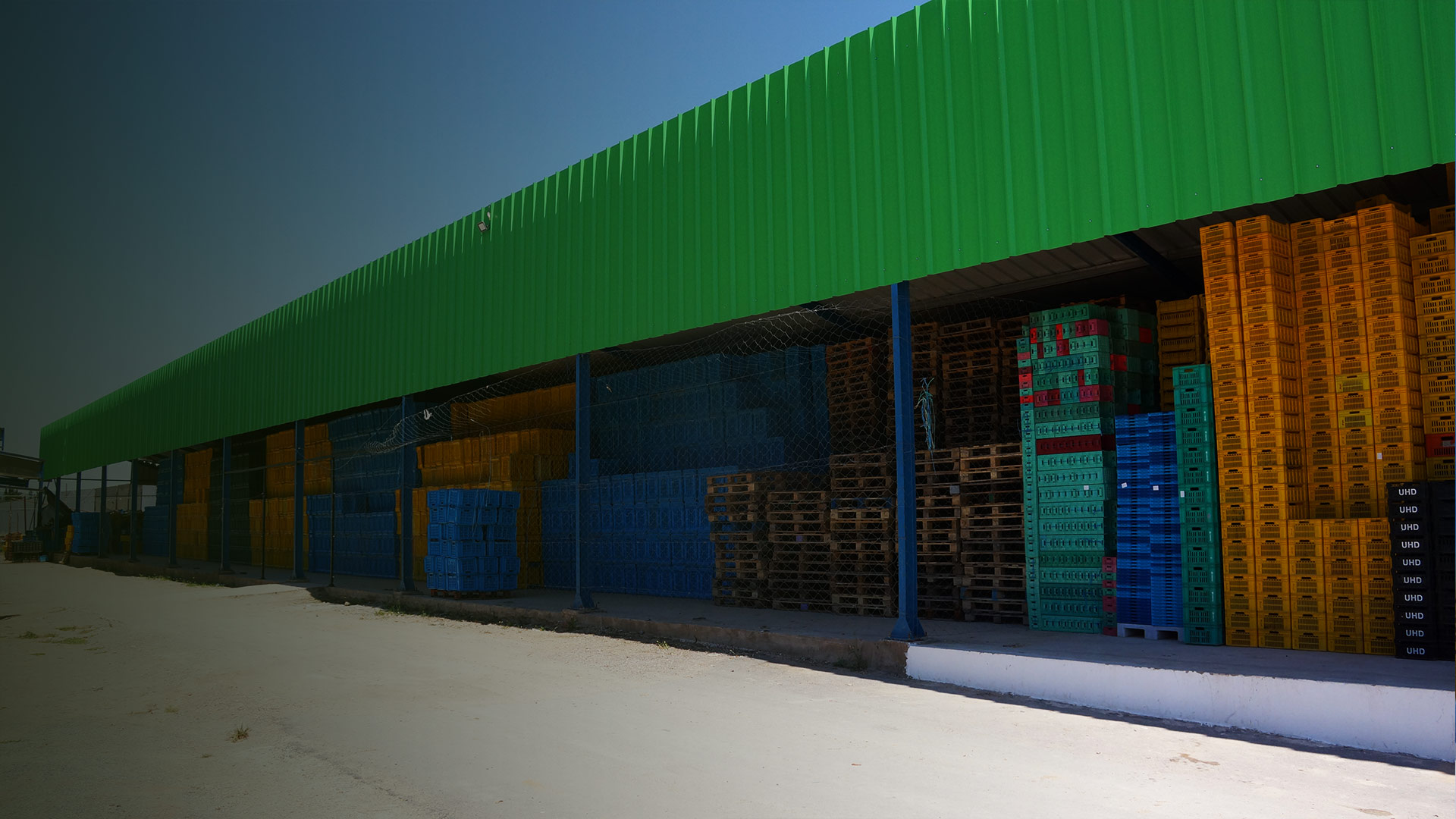 Sodea Fruits Tunisia | Quality fresh fruit & vegetables